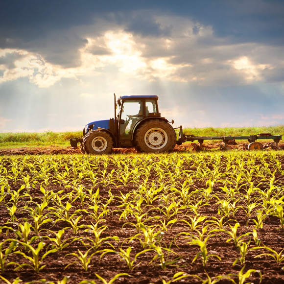 About us – Agribiz Farm