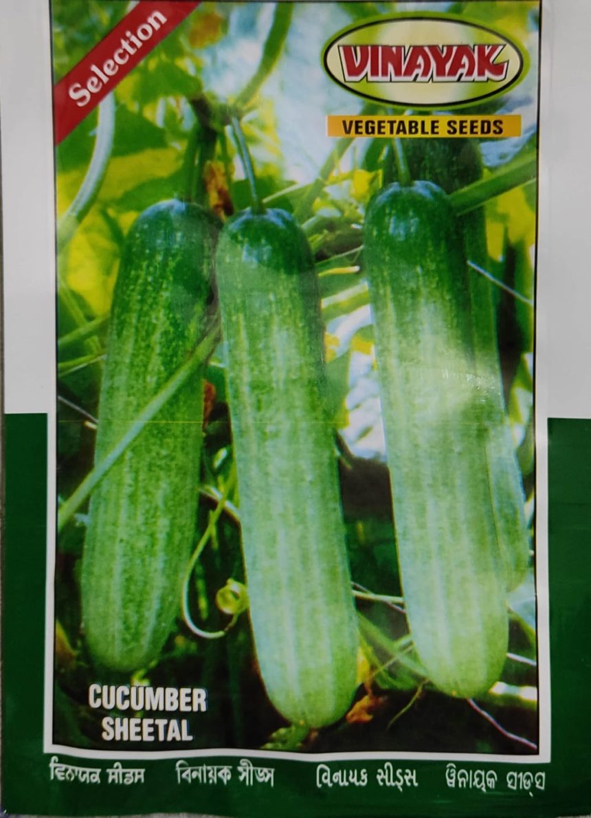 SHEETAL – Agribiz Farm