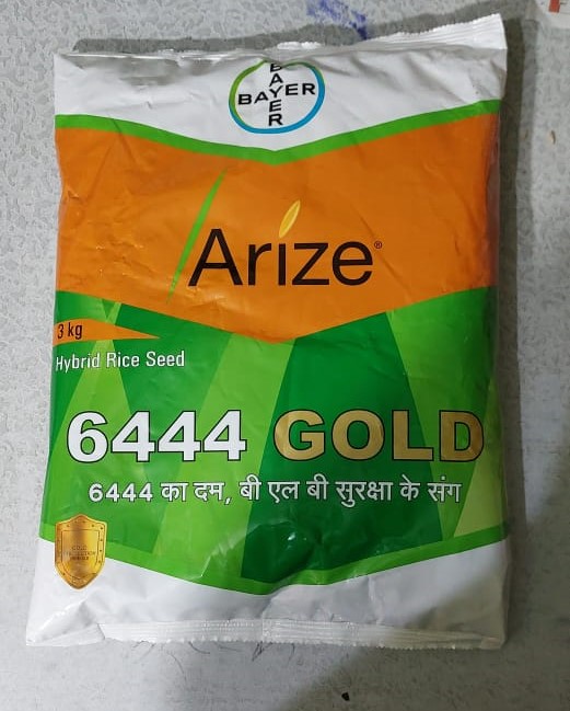 ARIZE 6444 GOLD – Agribiz Farm