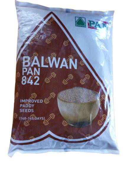 PAN 804 PADDY SEEDS – Agribiz Farm