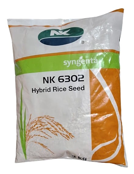 SYNGENTA NK6302 – Agribiz Farm