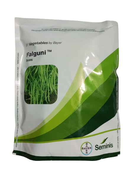 SEMINIS FALGUNI – Agribiz Farm